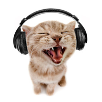 Travis Sigma gyat Meme Sound Effect - Voicy