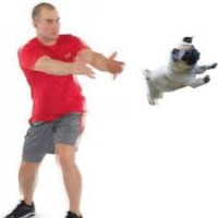 YEET Meme Sound Effect - Voicy