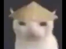 chine cat Meme Sound Effect - Voicy