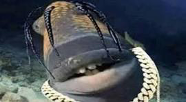 Fein Meme Sound Effect - Voicy