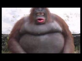 Uh Oh Stinky Sounds - Voicy