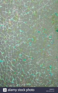 Small Glass Pane Shatter Meme Sound Effect - Voicy