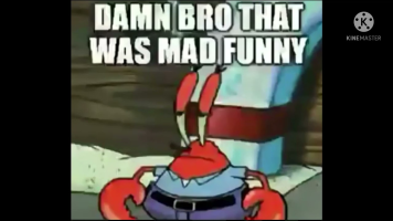 damn bro that was mad funny Meme Sound Effect - Voicy