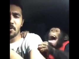 monkey boi/man Meme Sound Effect - Voicy