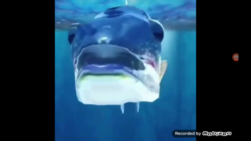 glu glu glu Meme Sound Effect - Voicy