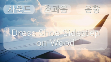Dress Shoe Sidestep on Wood Meme Sound Effect - Voicy