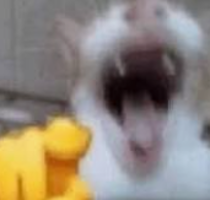 Muahahahaha Meme Sound Effect - Voicy