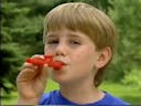 Kazoo Sounds and Sound Effects - Voicy
