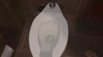 Official Toilet Flushing Sound Effects Soundboard - Voicy