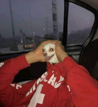 DISCUSTING! (Clip version) Meme Sound Effect - Voicy