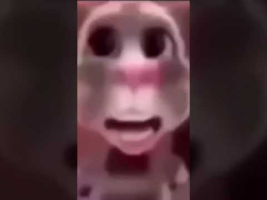 boi what the hell boi (talking tom meme) Soundclip - Voicy