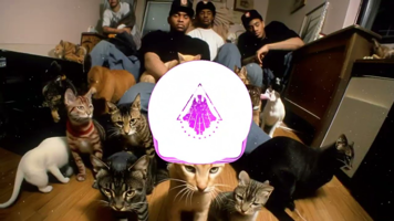 all my fellas Meme Sound Effect - Voicy