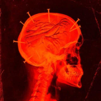 click if not gayyyyyyy!!!!!!!!!! Meme Sound Effect - Voicy