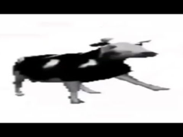 Dancing Polish Cow EARRAPE Meme Sound Effect - Voicy