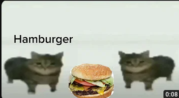 This is a Hamburger Meme Sound Effect - Voicy
