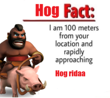 hog ridaaaa Meme Sound Effect - Voicy
