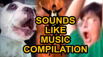 meme Meme Sound Effect - Voicy