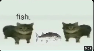 This is a Fish Meme Sound Effect - Voicy