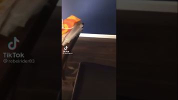 carbonated poop water Meme Sound Effect - Voicy