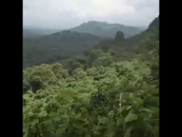 play this at max volume Meme Sound Effect - Voicy