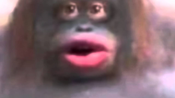 Oh oh Meme Sound Effect - Voicy