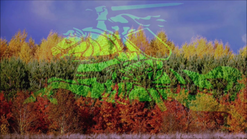 ant kalno murai Meme Sound Effect - Voicy