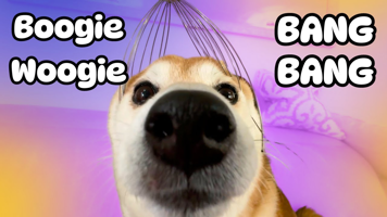boogie woogie Meme Sound Effect - Voicy