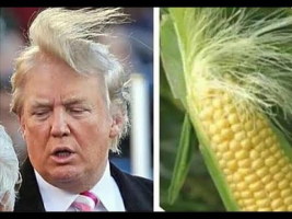 bruh look at this dude Sound Clip - Voicy