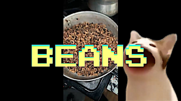 She Made Beans WTF (EDM House Remix) Meme Sound Effect - Voicy
