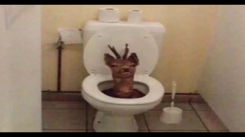 top 5 Meme Sound Effect - Voicy