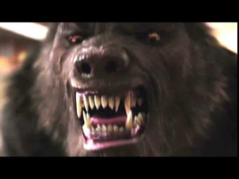 Werewolf Howling Meme Sound Effect - Voicy