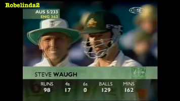 Steve Waugh just scored two from his last ball Meme Sound Effect - Voicy
