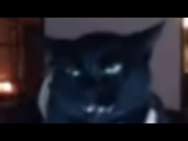 Caseoh Kitty Meme Sound Effect - Voicy