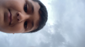bye bye Meme Sound Effect - Voicy