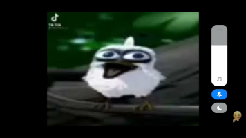 Larry the screaming bird Meme Sound Effect - Voicy