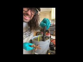 what no way Meme Sound Effect - Voicy