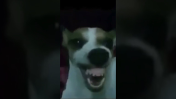 funny Meme Sound Effect - Voicy