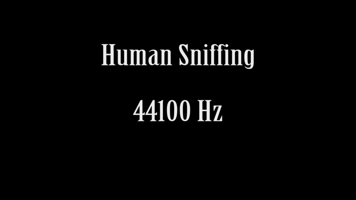Human Sniffing Meme Sound Effect - Voicy