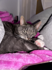 Ich bin der Uwe Meme Sound Effect - Voicy