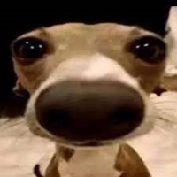 you wanna get high Meme Sound Effect - Voicy