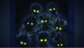 PERFECT- Street Fighter Meme Sound Effect - Voicy