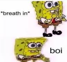 Boi meme Meme Sound Effect - Voicy