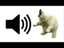 Bear Roar Sounds and Sound Effects - Voicy