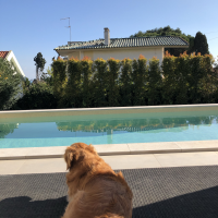 flac Meme Sound Effect - Voicy