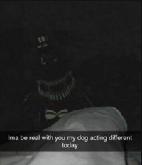 what the was that Meme Sound Effect - Voicy