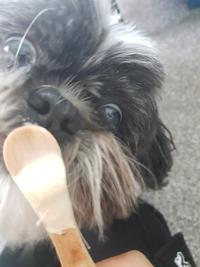 poop. Meme Sound Effect - Voicy