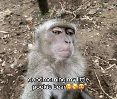 its coming out Meme Sound Effect - Voicy