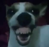 goofy ahh laugh Meme Sound Effect - Voicy