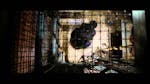 oh no! monkey planet of the apes Meme Sound Effect - Voicy