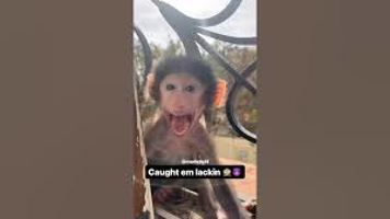 imposter Meme Sound Effect - Voicy